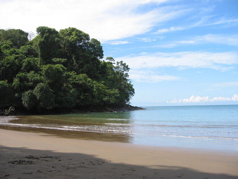 Parque Nacional Marino Ballena, un tesoro de Costa Rica-Viajeros Ocultos