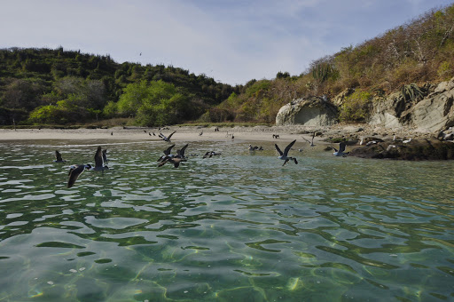 Punta Pérula, playas de Jalisco - Viajeros Ocultos