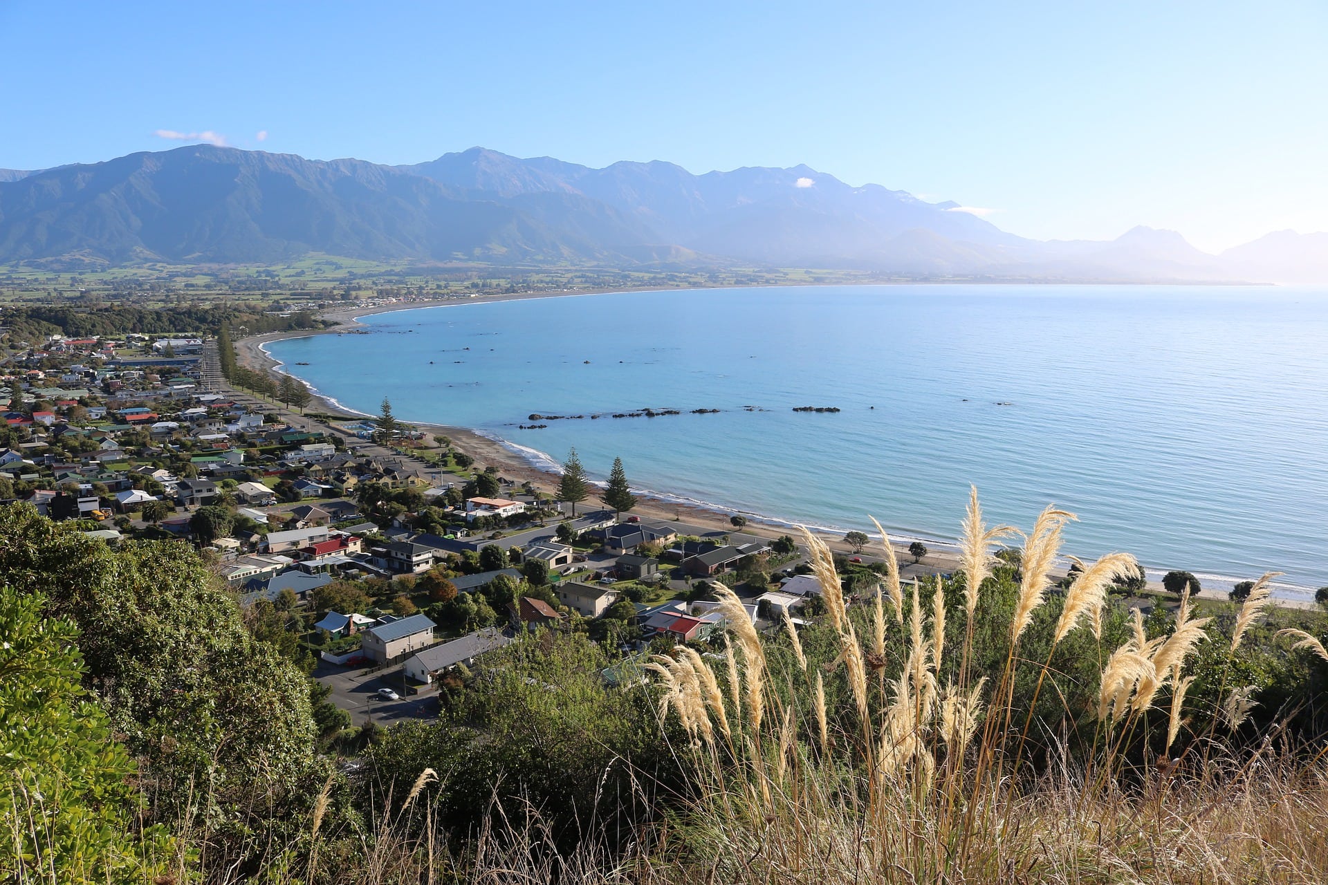 Cosas que puedes ver y hacer en Kaikoura, Nueva Zelanda - Viajeros Ocultos