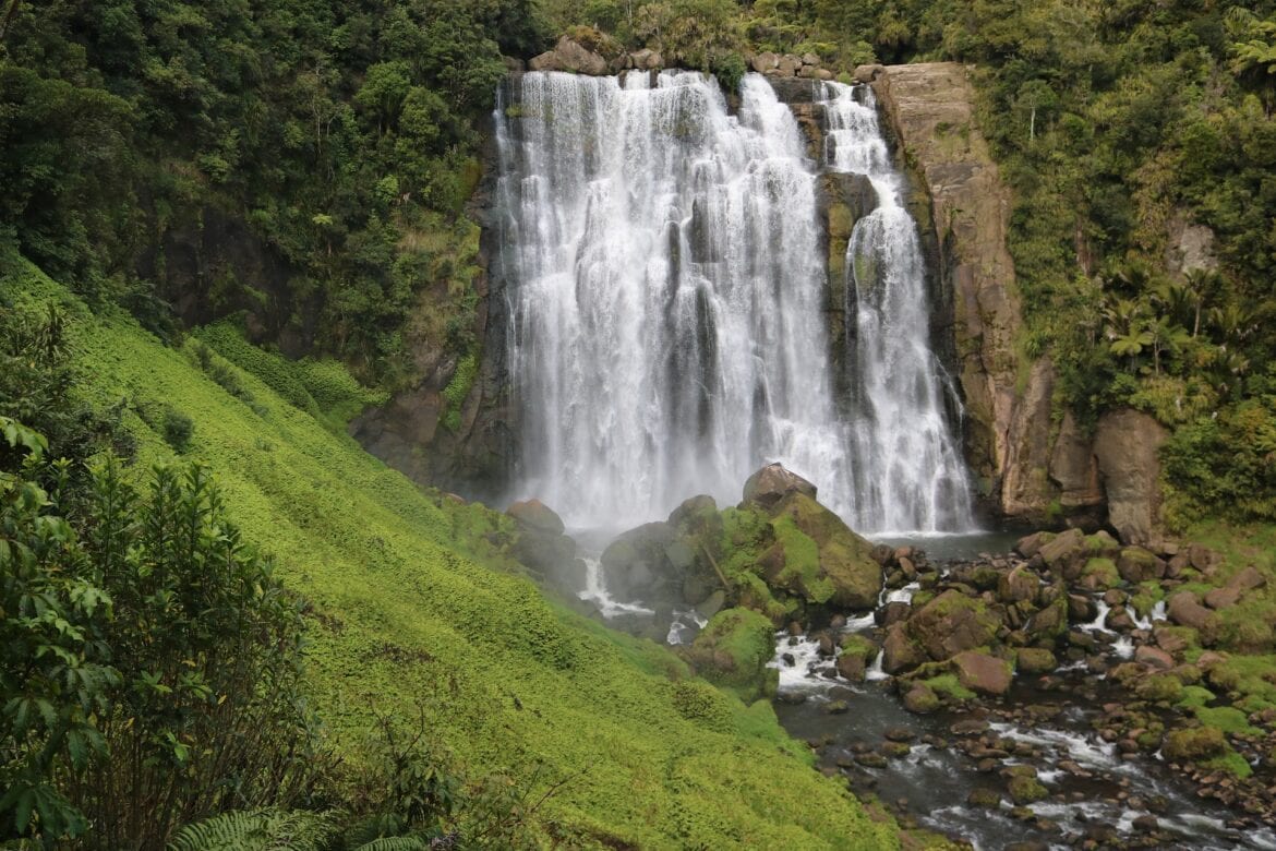Adentrándonos en las Cuevas de Waitomo - Viajeros Ocultos