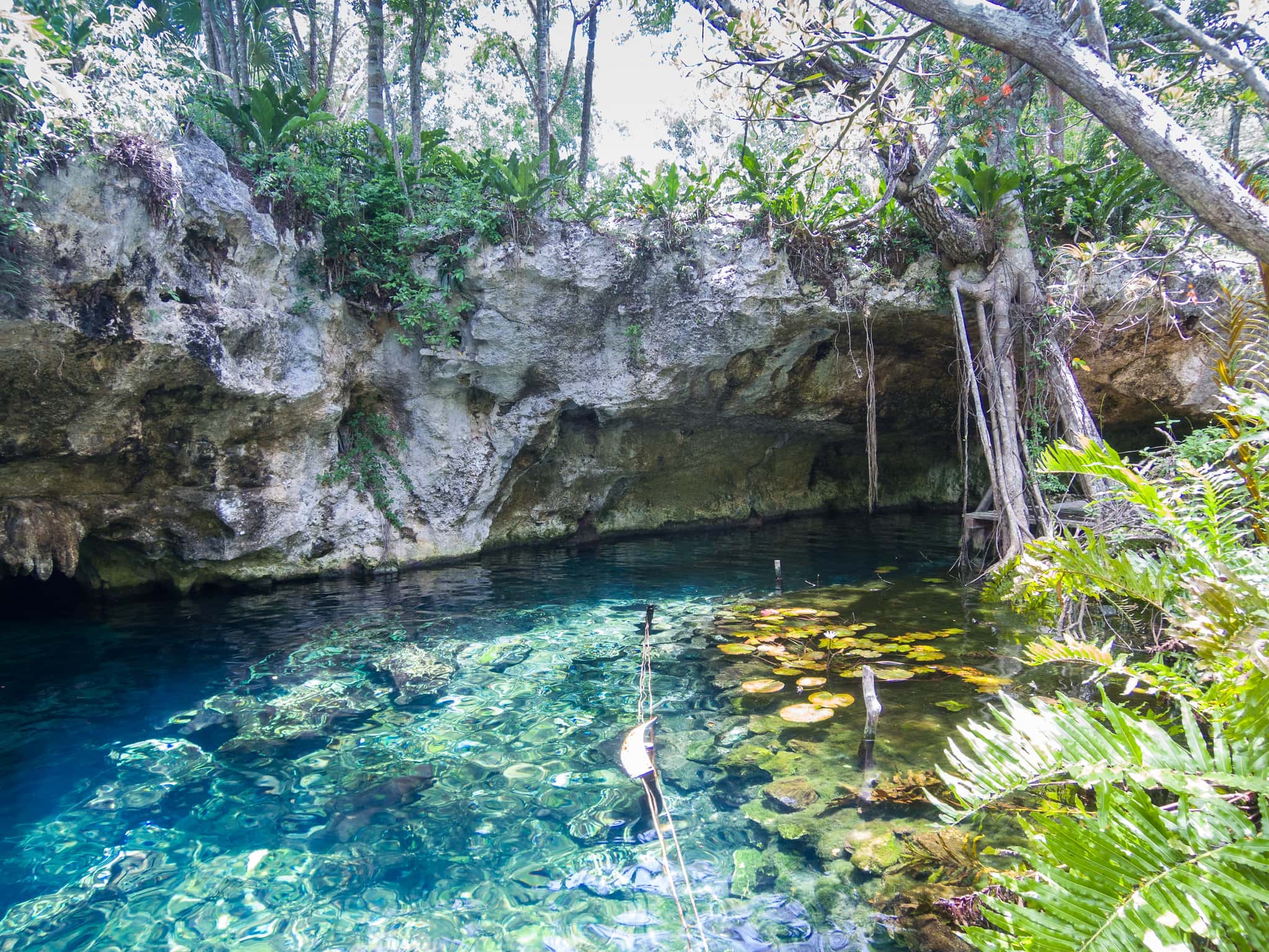 Mejores Cenotes en Riviera Maya México - Viajeros Ocultos