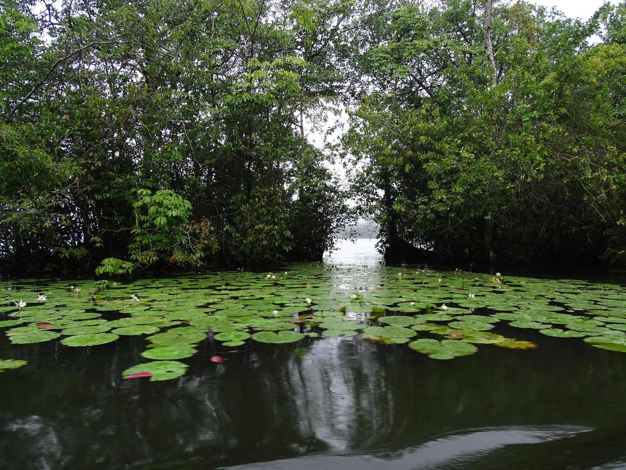 Departamento de Izabal: Guía Viajeros Ocultos - Viajeros Ocultos