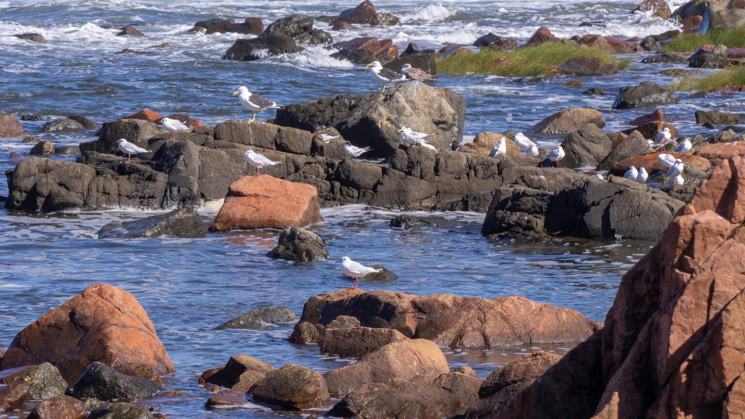 ¿Qué hacer en Punta Colorada? - Viajeros Ocultos