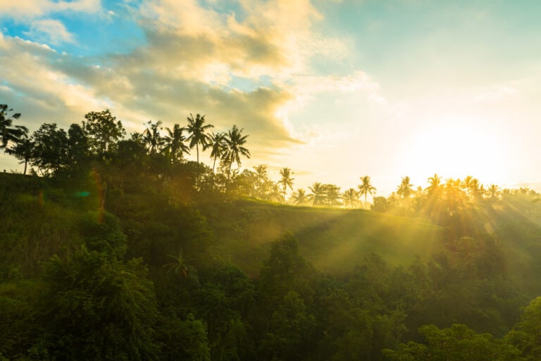 Descubre la selva Peruana - Viajeros Ocultos