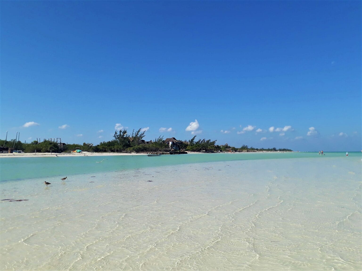 Descubre Playa Punta Mosquito, Holbox - Viajeros Ocultos