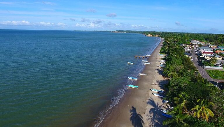 Conoce Isla de Cedros - Viajeros Ocultos