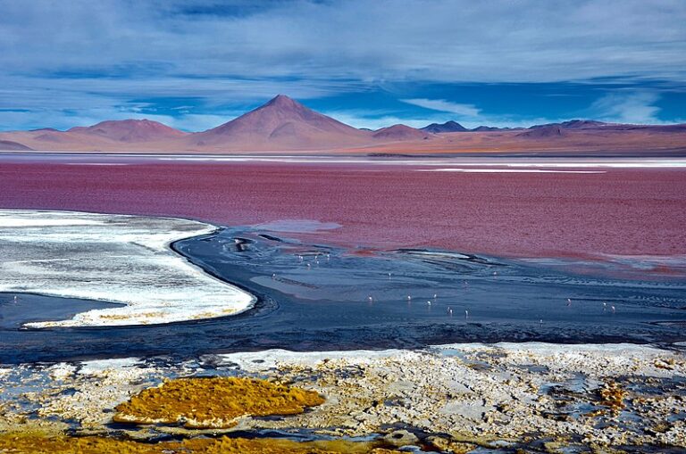 Qué hacer en la Laguna Colorada - Viajeros Ocultos