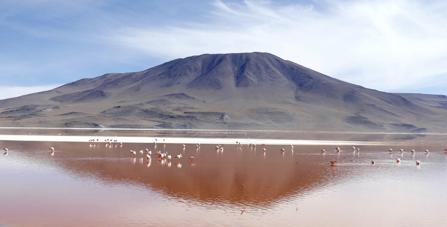 Qué hacer en la Laguna Colorada - Viajeros Ocultos