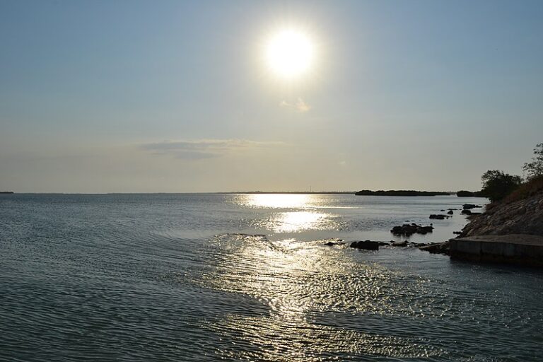 Qué hacer en Chelem, Yucatán - Viajeros Ocultos