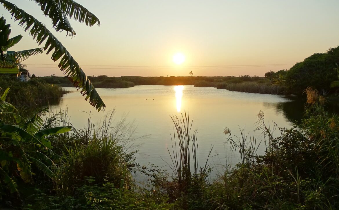 Visita a Tecolutla y alrededores, Veracruz - Viajeros Ocultos