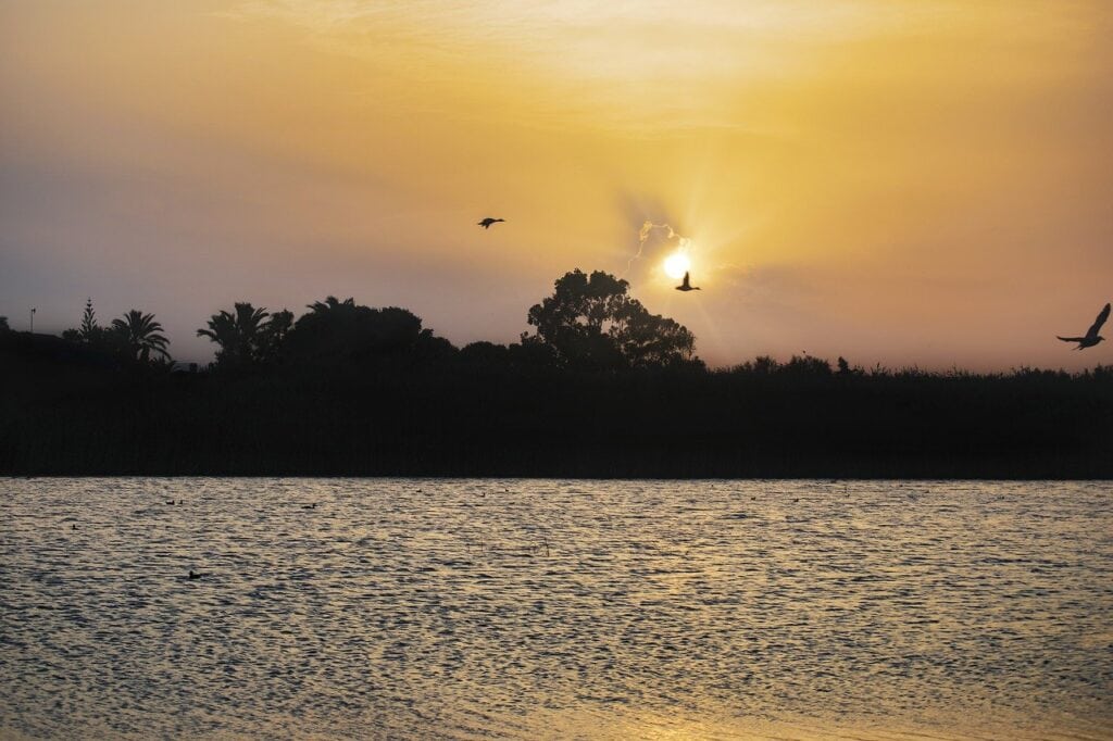 Visita a Tecolutla y alrededores, Veracruz - Viajeros Ocultos