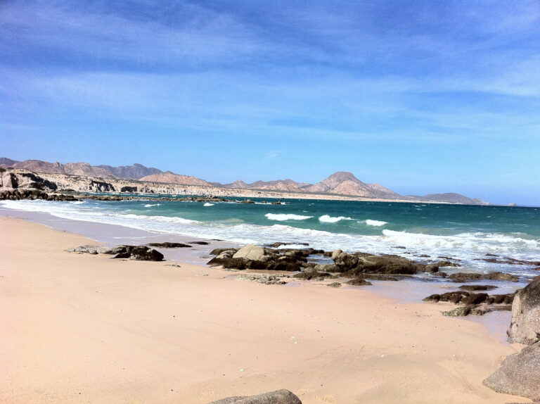 Guía para visitar el Parque Nacional Cabo Pulmo - Viajeros Ocultos