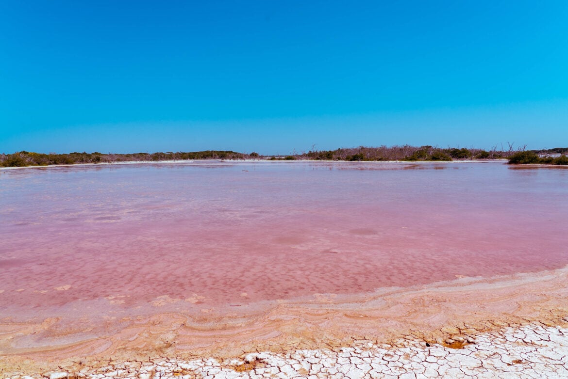 Atractivos turísticos de Puerto Progreso, Yucatán - Viajeros Ocultos