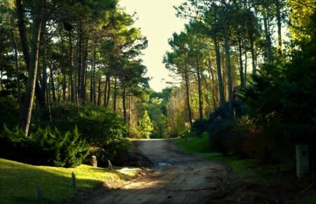 Cariló, un exclusivo destino de playa - Viajeros Ocultos