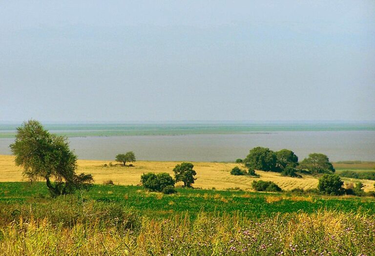 Qué hacer en Gualeguay, Argentina - Viajeros Ocultos
