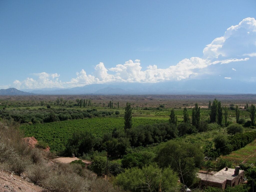 ¿Qué hacer en Villa Unión y alrededores? - Viajeros Ocultos