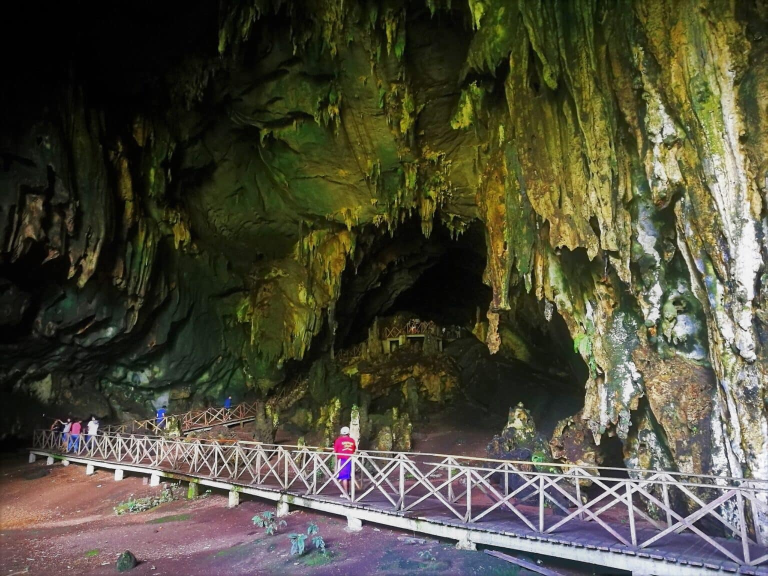 ¿Qué hacer en Tingo María? Perú - Viajeros Ocultos