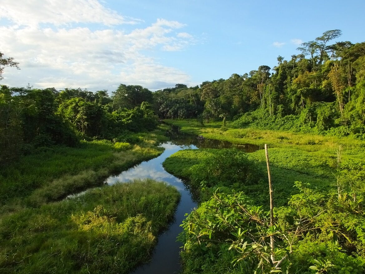 Guía de viaje por el Parque Nacional del Manu - Viajeros Ocultos