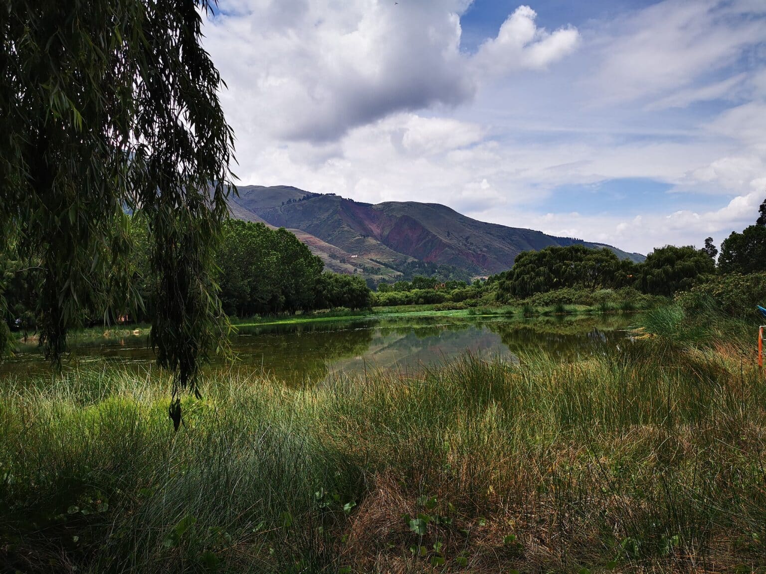 Tour por el humedal de Huasao y alrededores - Viajeros Ocultos