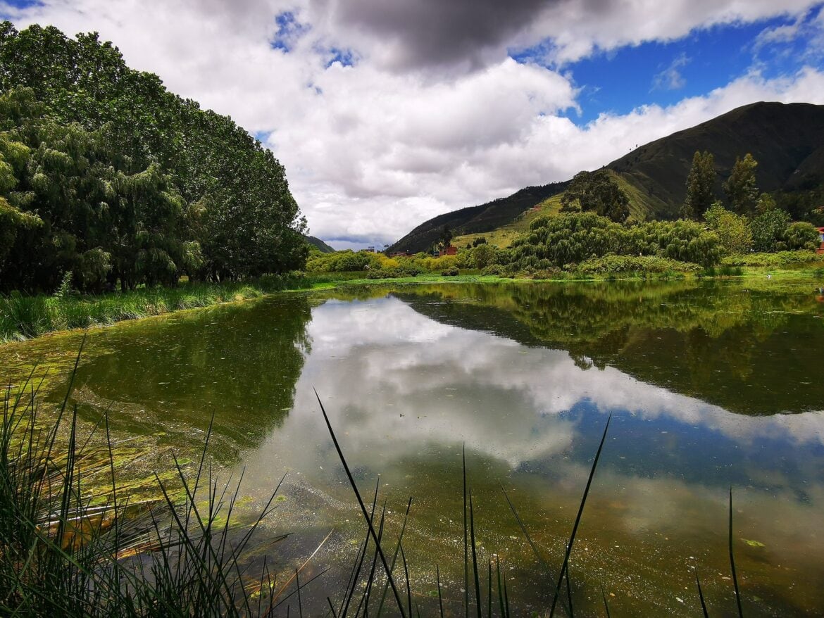 Tour por el humedal de Huasao y alrededores - Viajeros Ocultos