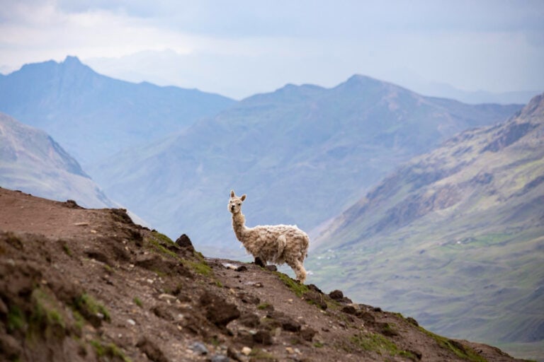 Destinos fascinantes de la sierra peruana - Viajeros Ocultos