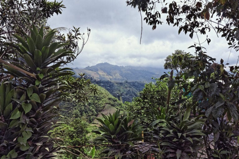 12 destinos de la Selva Central del Perú - Viajeros Ocultos