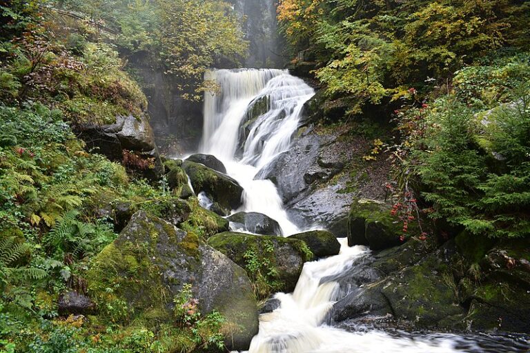 Qué ver en Triberg, el corazón de la Selva Negra - Viajeros Ocultos