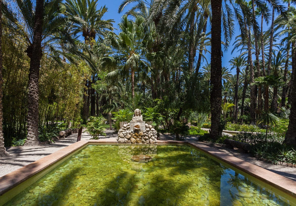 Visitamos Elche y su famoso palmeral - Viajeros Ocultos