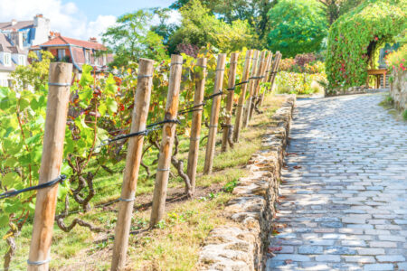 Ruta por Montmartre, el barrio bohemio de París - Viajeros Ocultos