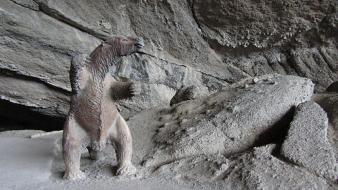 Recorriendo la Cueva del Milodón - Viajeros Ocultos