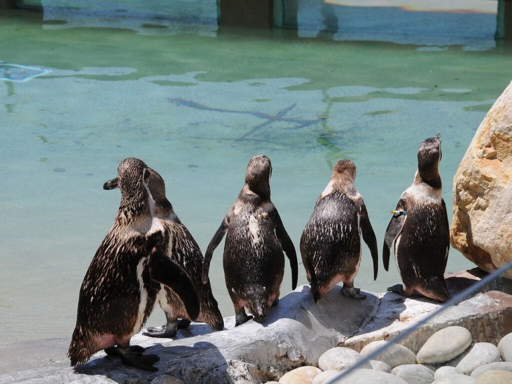 Qué ver en Gondomar - Viajeros Ocultos