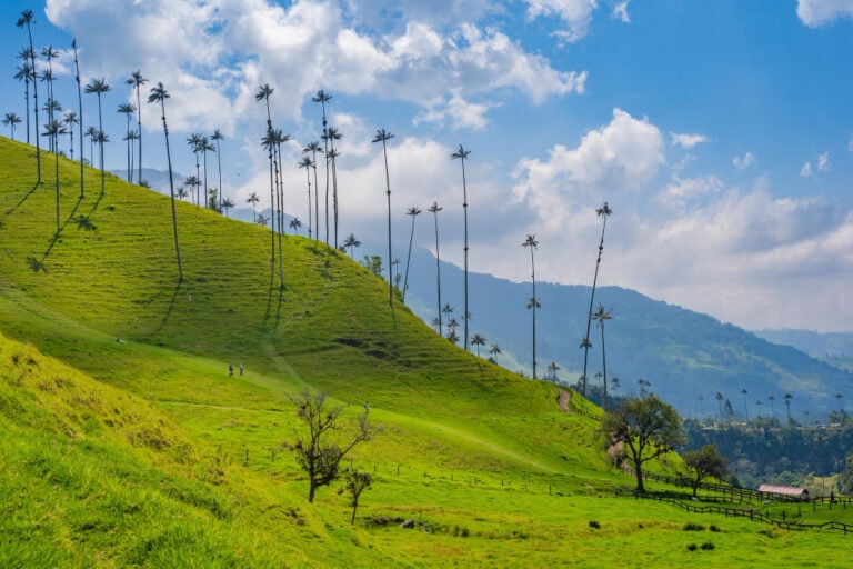 El increíble Valle de Cocora, Colombia - Viajeros Ocultos