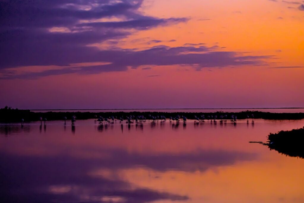 10 cosas para hacer en el Delta del Ebro - Viajeros Ocultos