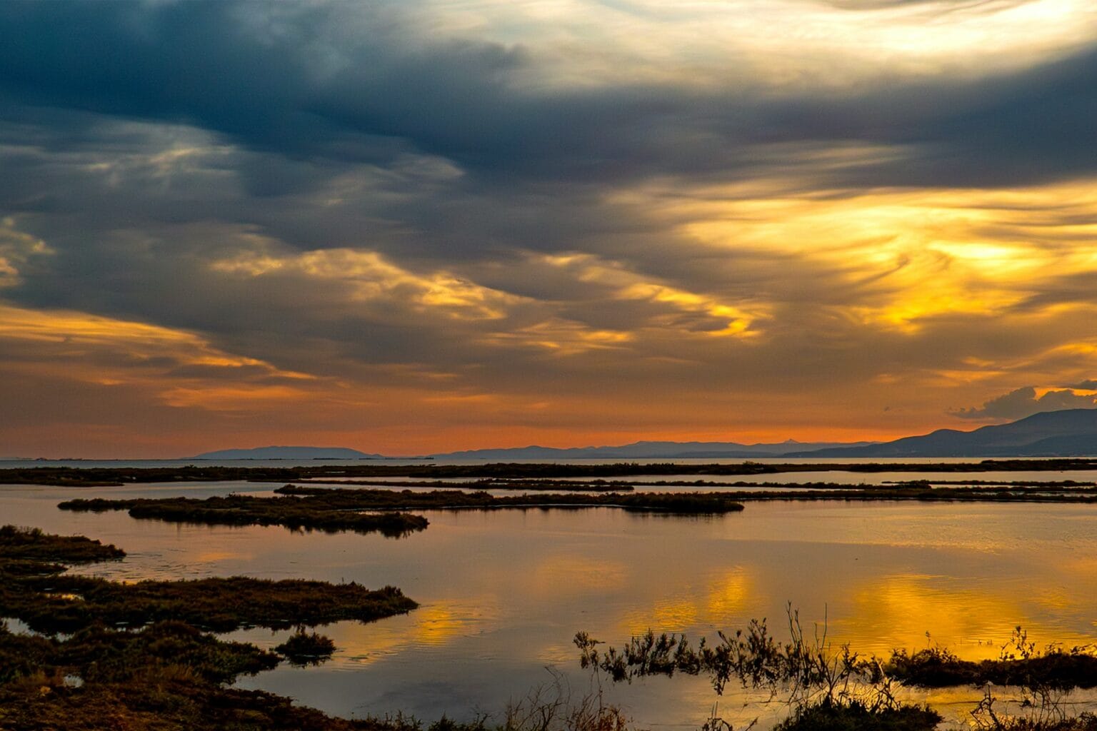 10 cosas para hacer en el Delta del Ebro - Viajeros Ocultos